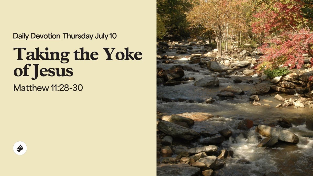 Taking the Yoke of Jesus – Daily Devotional – TopPodcasters.com
